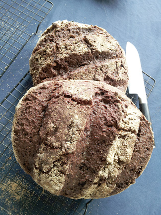“Pumpkin”nickel Bread – Ben Starr – The Ultimate Food Geek